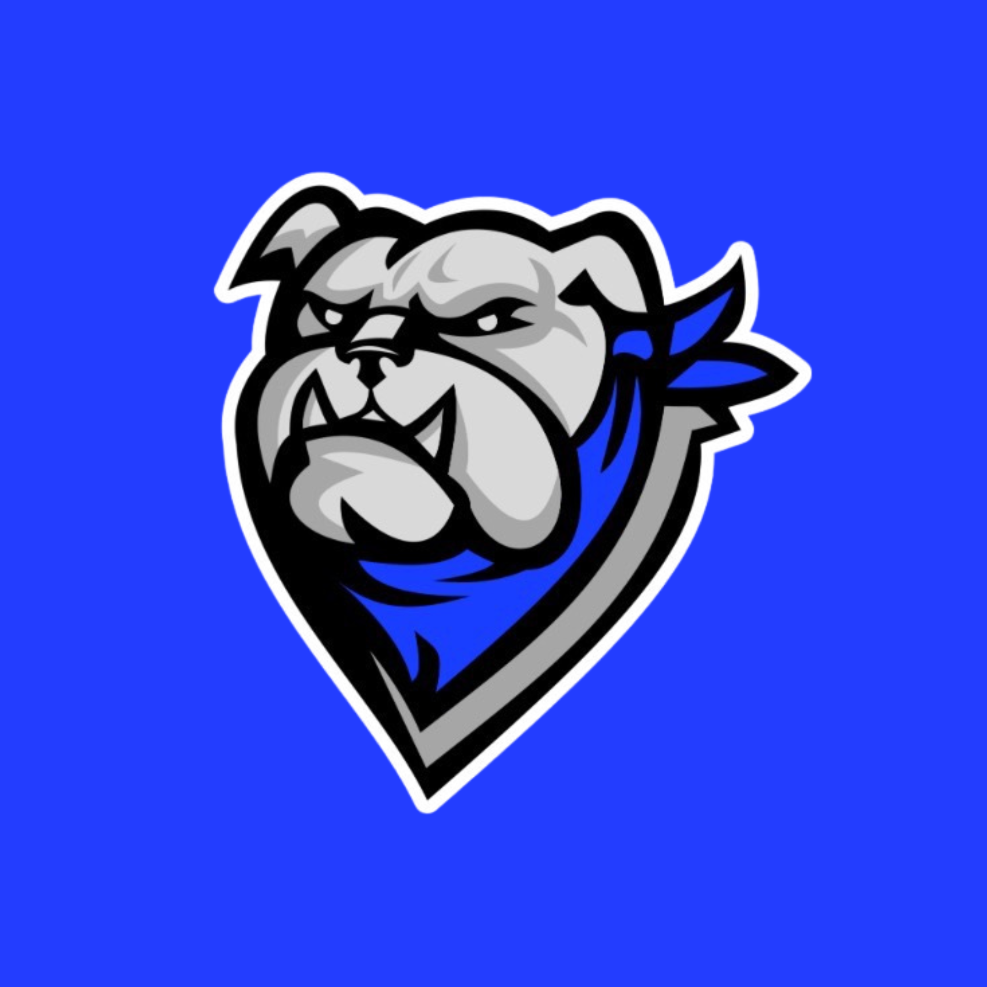 Diamond Dawgs Baseball – RF Designs